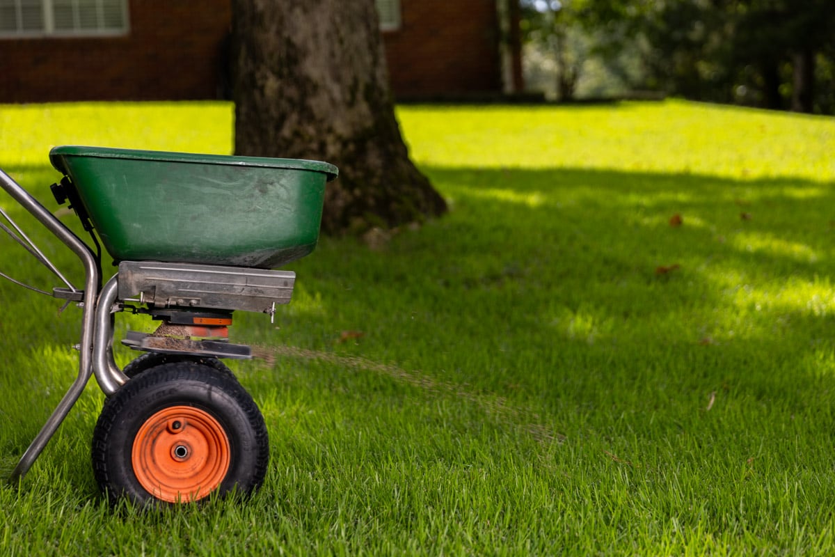 Slow-Release vs. Quick-Release Fertilizers: Pros and Cons for Memphis Lawns