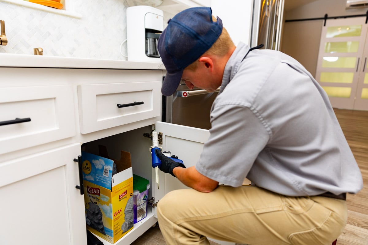 Professional Termite Control in New Albany, MS: Treatment & Prevention