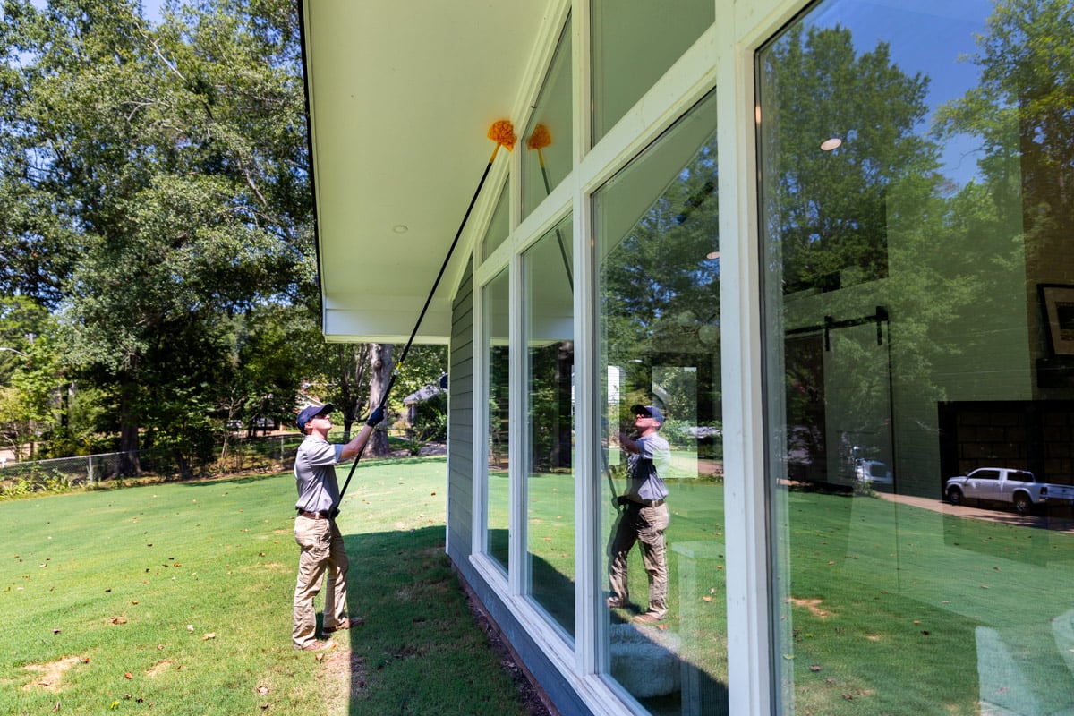 Spider Control in North Mississippi: 4 Tips for a Safe Home