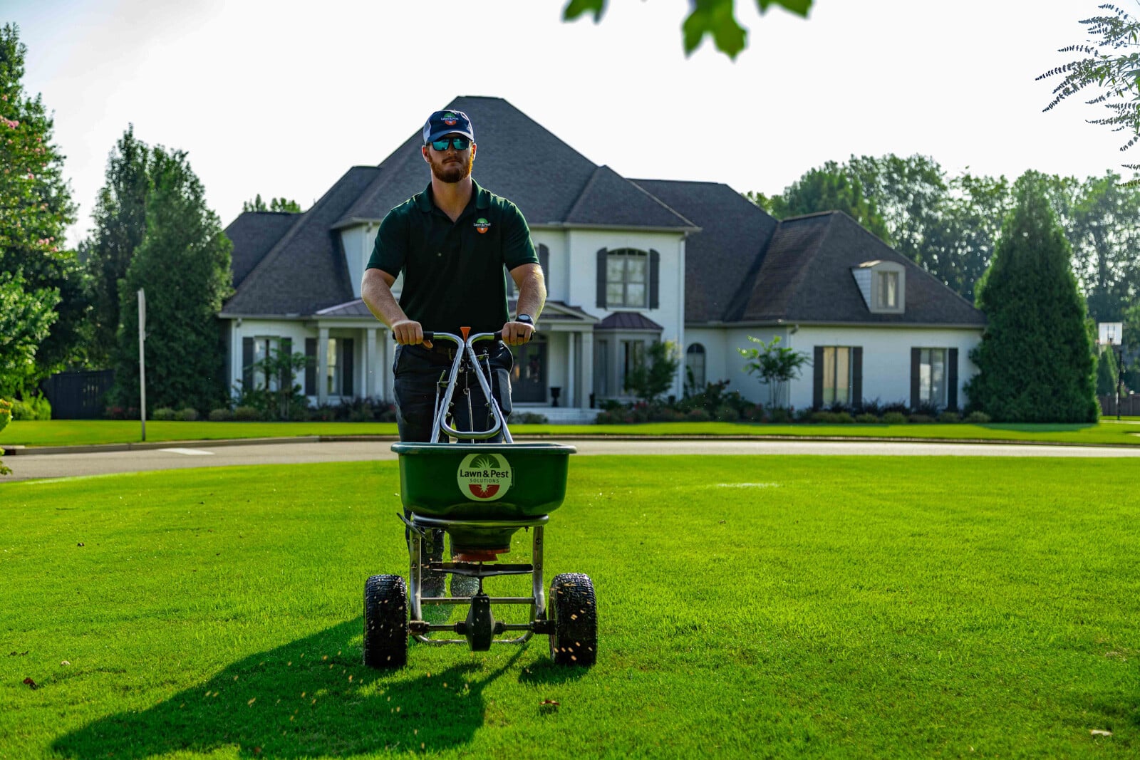 Lawn & Pest Solutions vs TruGreen: Which Provider is Right for Your ...