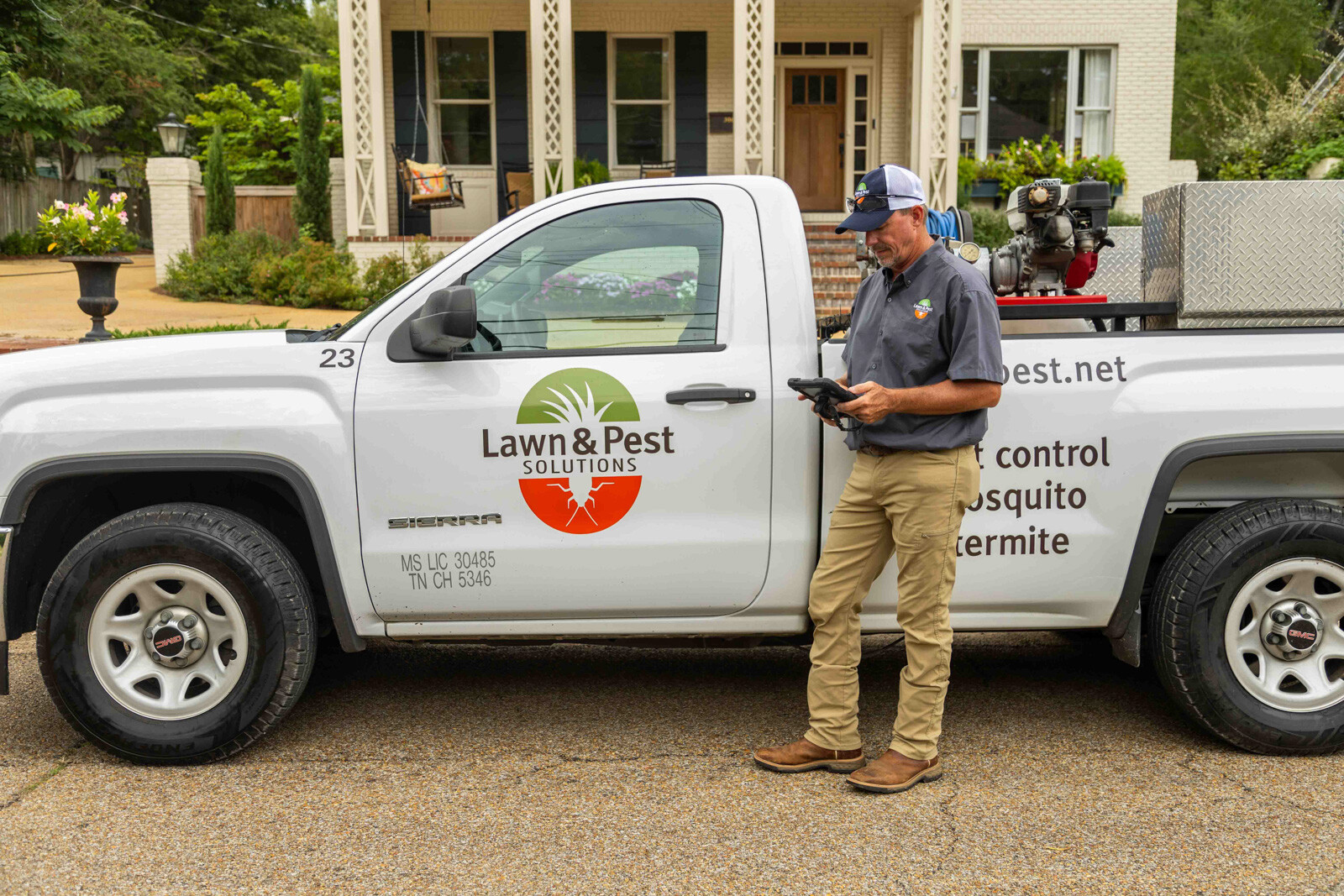 The Top Termite Control Companies in Memphis, TN & How to Choose