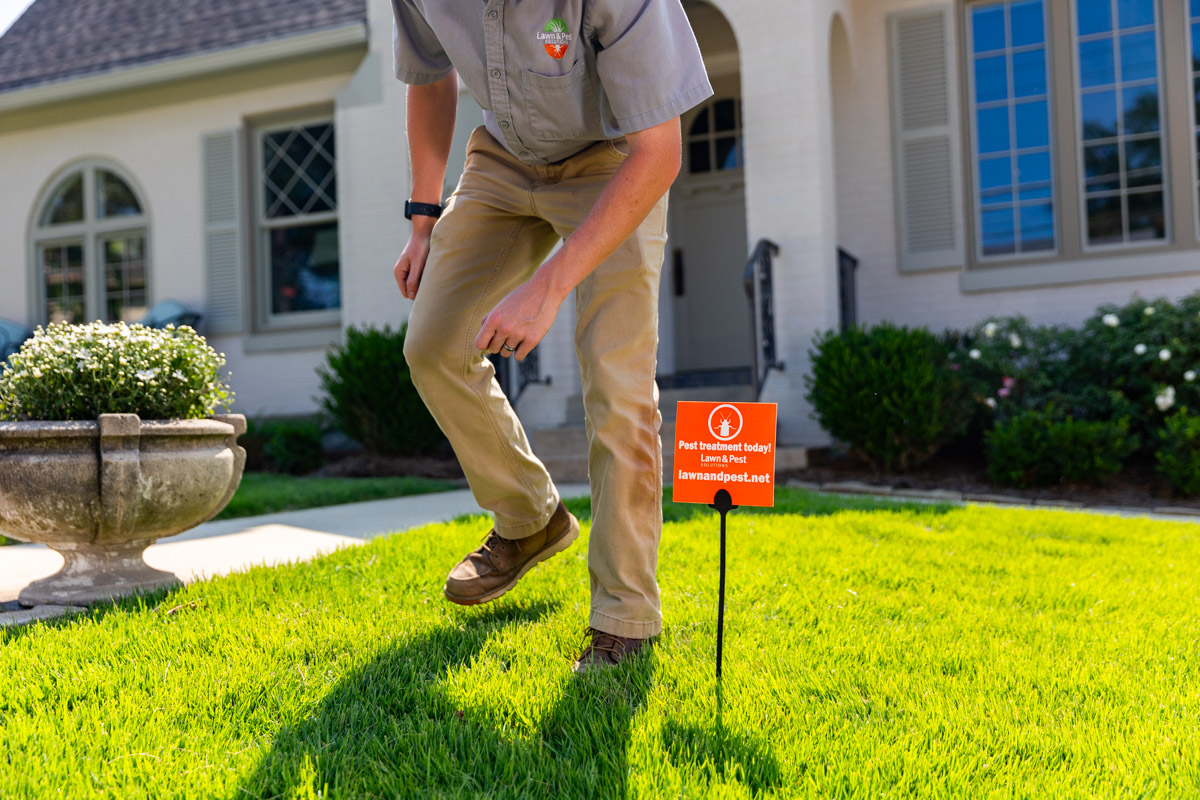 Service Area | Lawn & Pest Solutions | North Mississippi